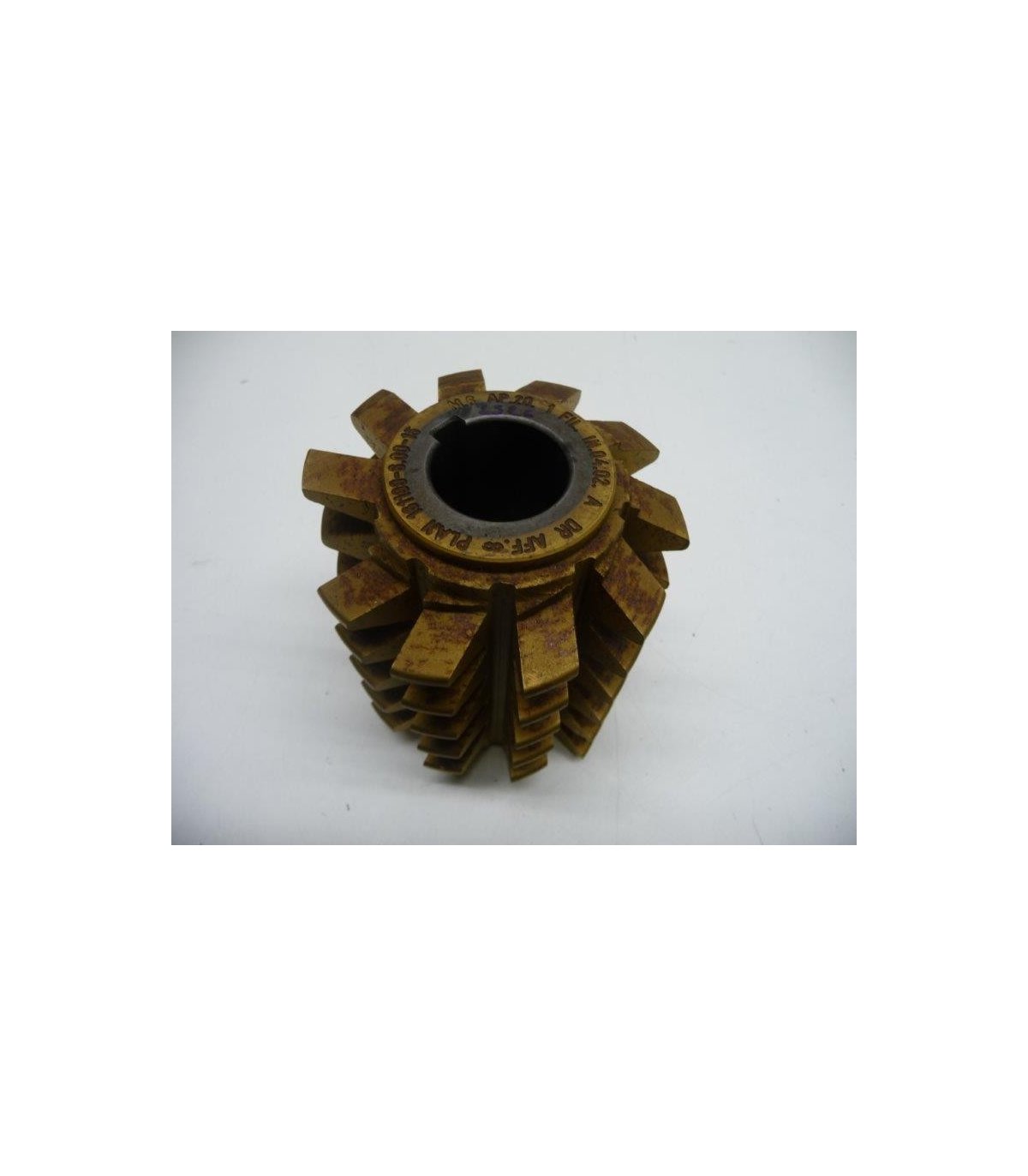 Fraise mère module 6